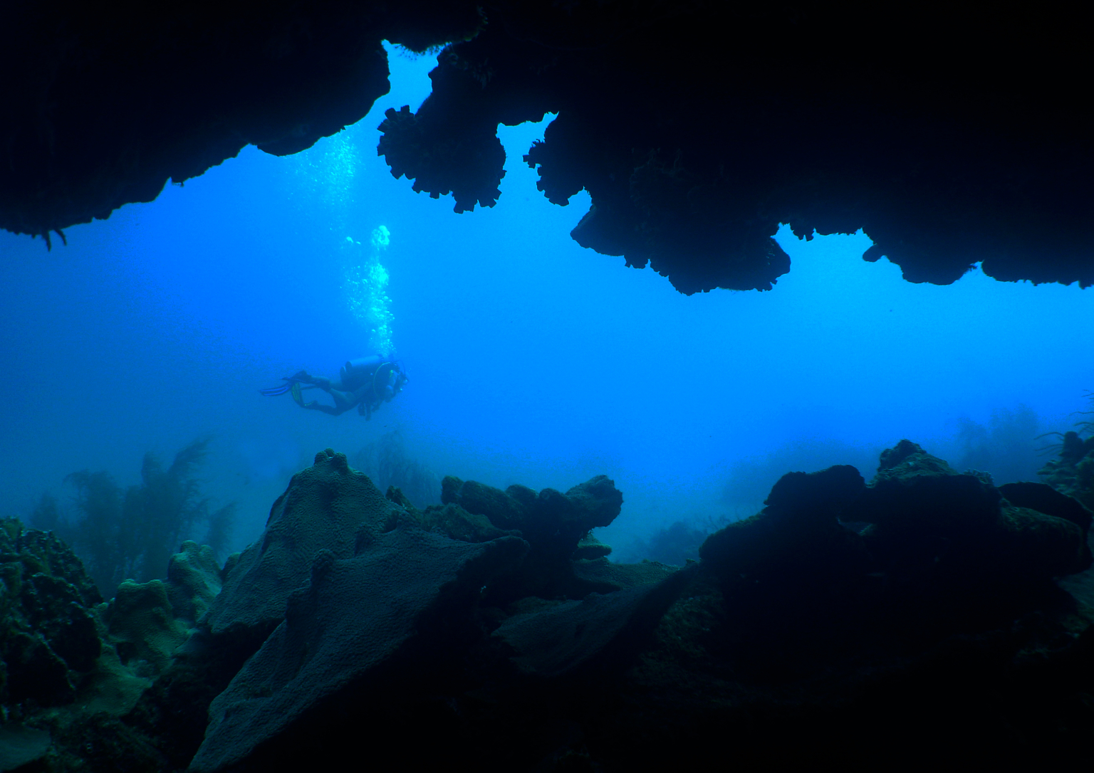 Best Caribbean diving: a guide to exploring tropical depths