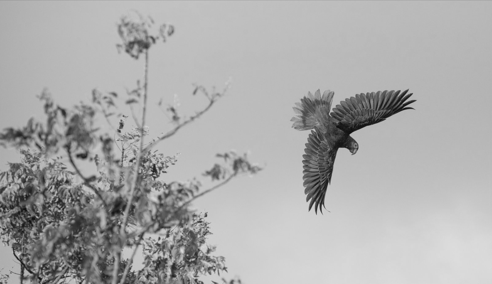 Bonaire in 100 photos - Lora - Sunwise Bonaire
