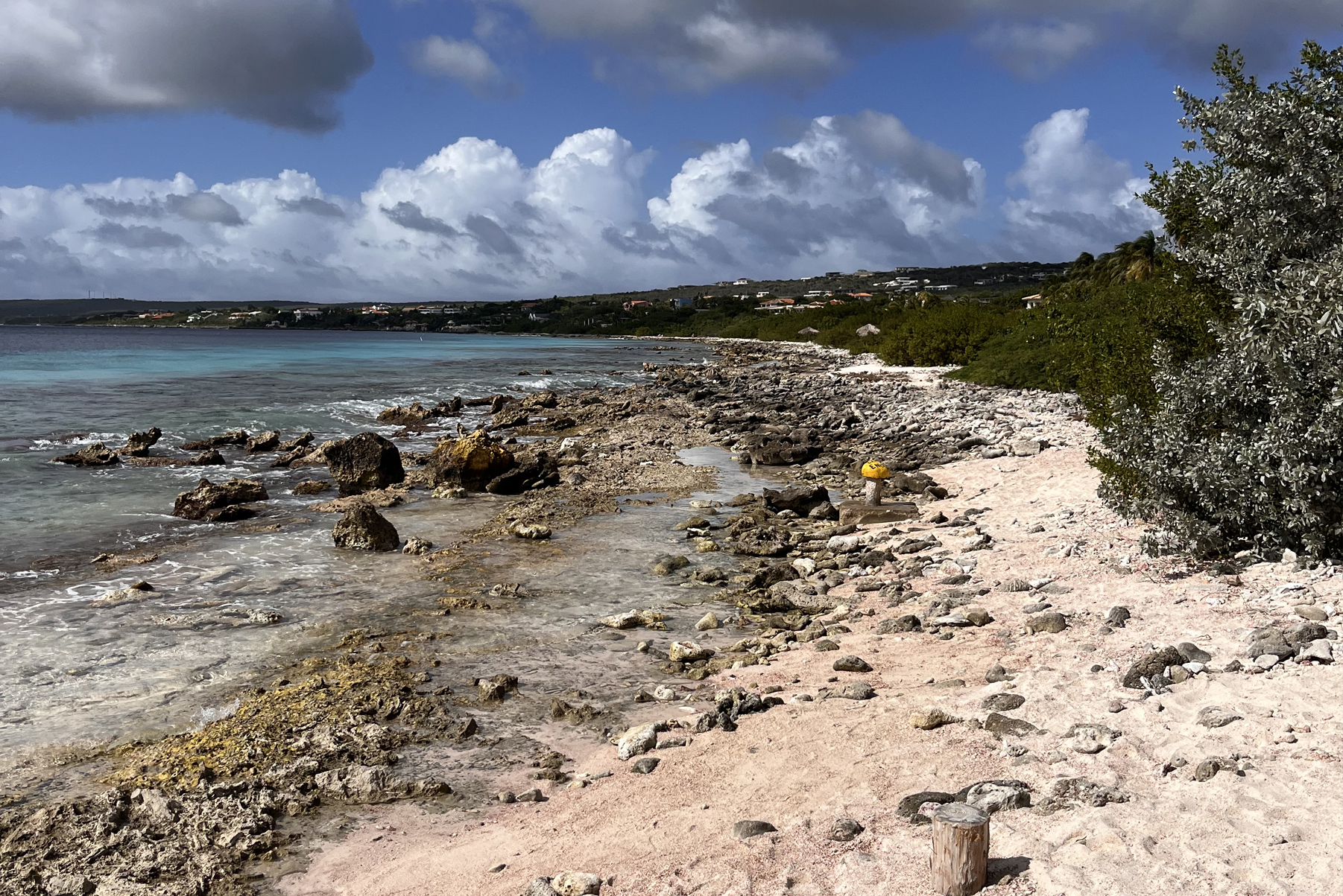 The alluring beaches of Bonaire