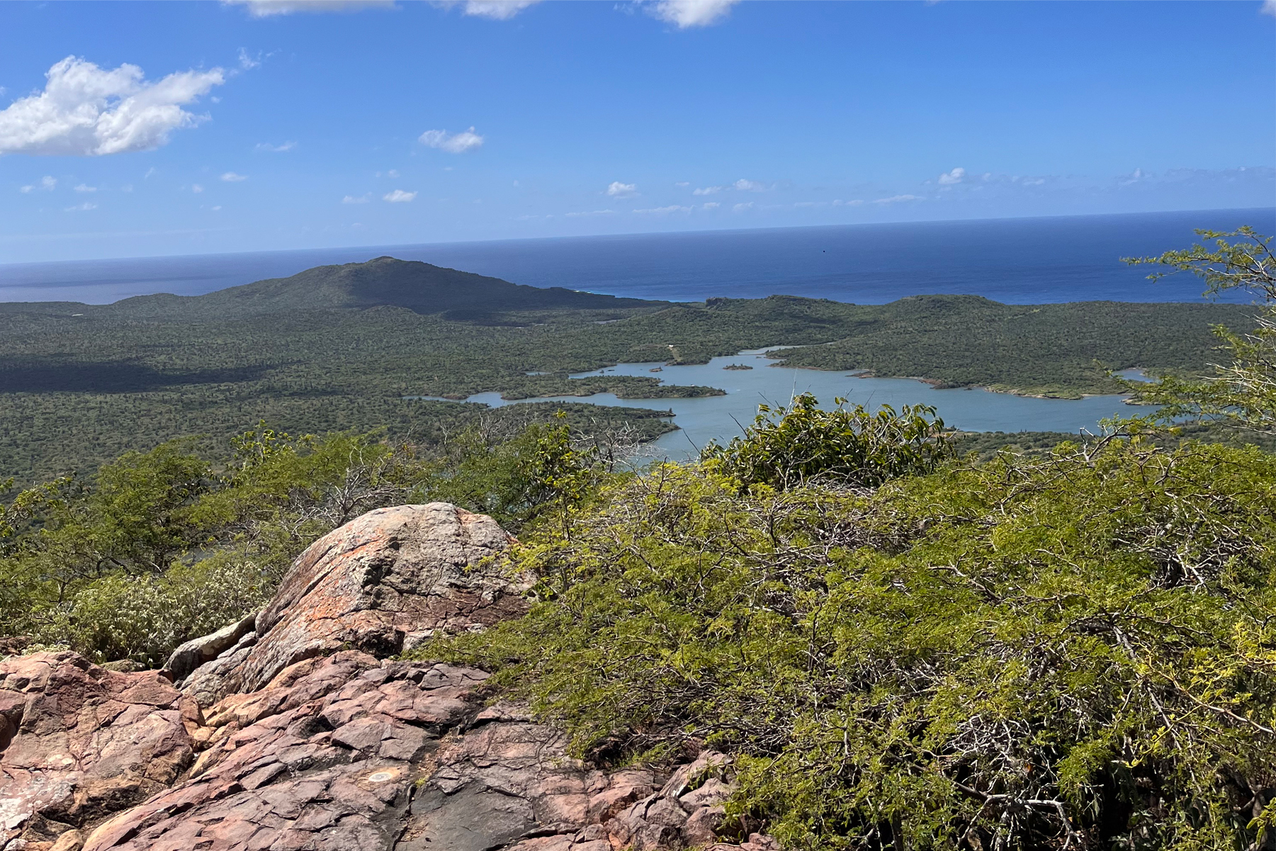 Bonaire nature: discover the unparalleled beauty