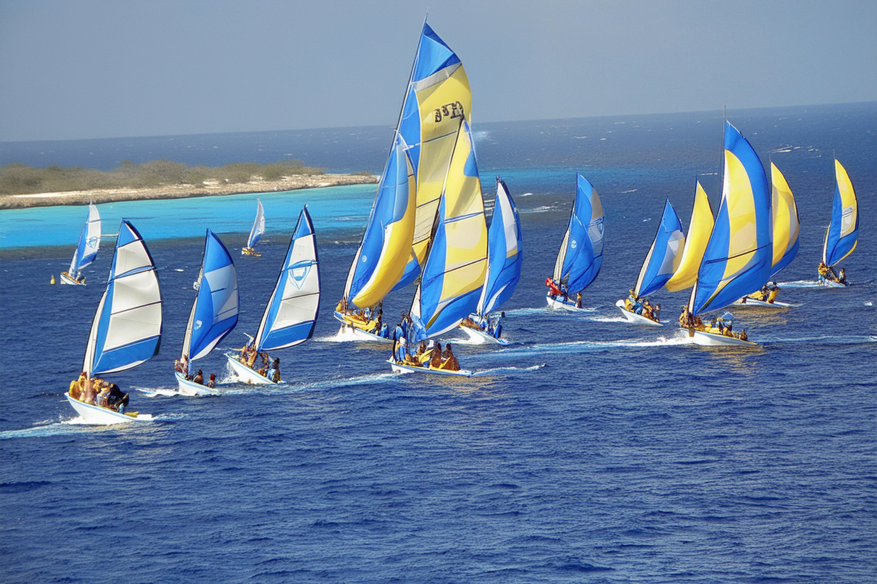 Experience the magic of Regatta Bonaire 2024