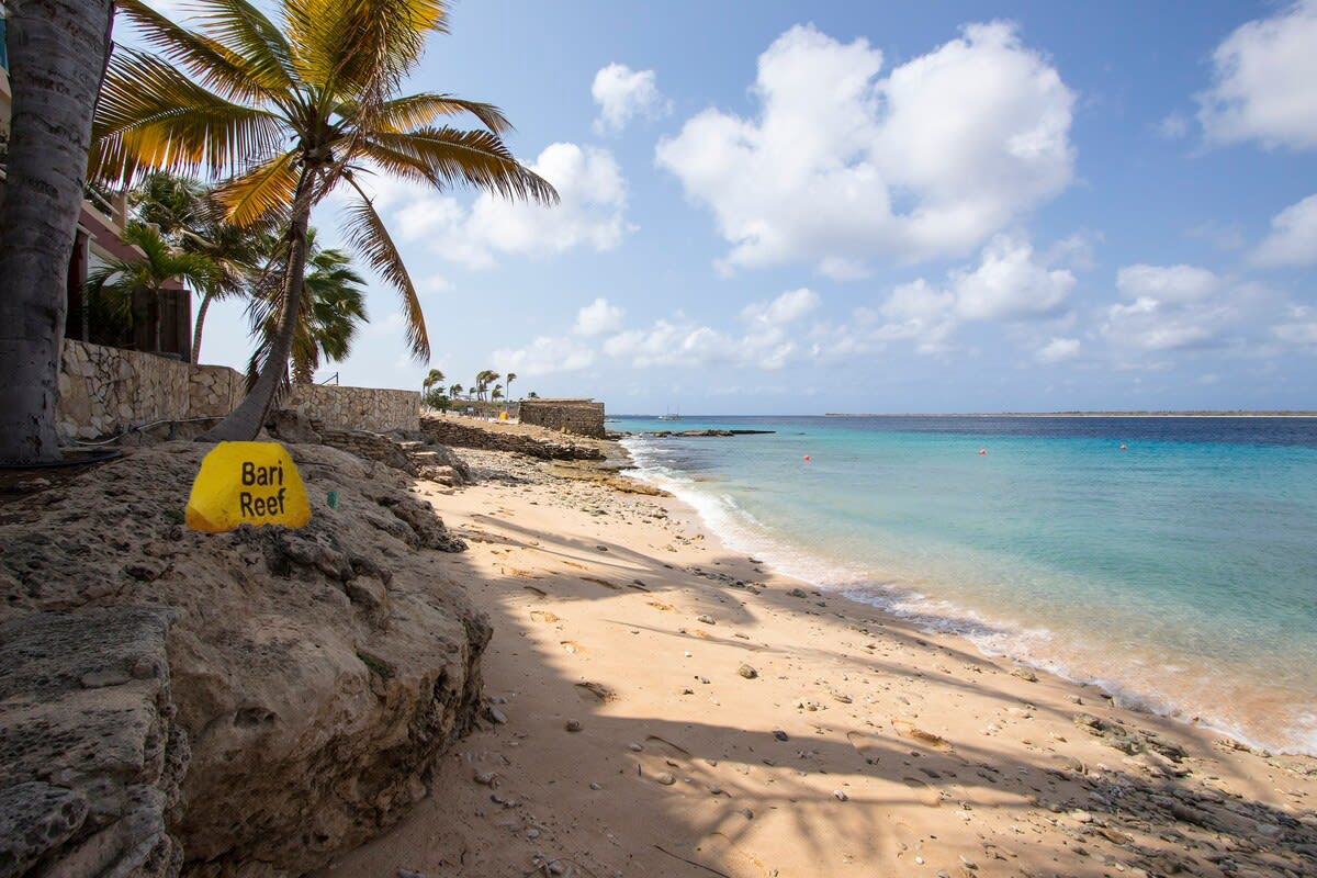 Bonaire Dive sites: Bari Reef - Sunwise Bonaire