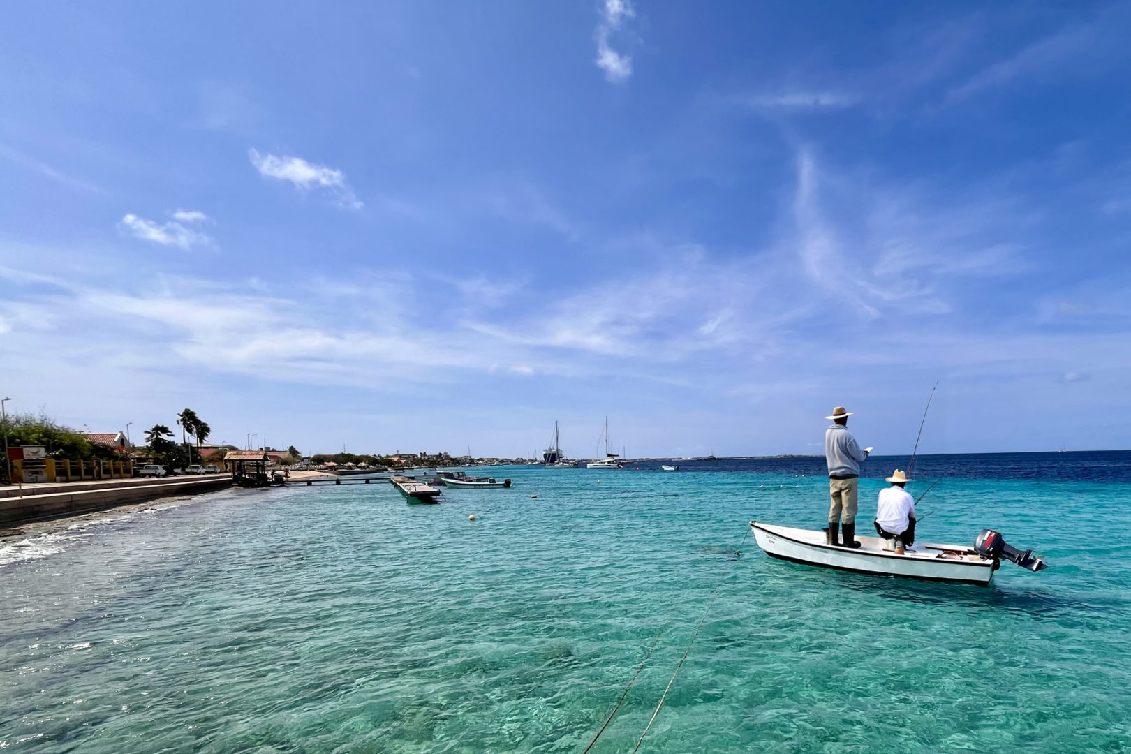 Bonaire's reef: innovative breeding system for fish