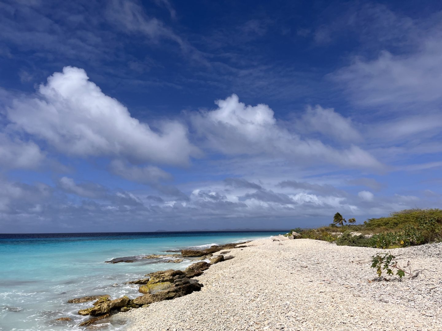 Augurk aan Zee: Bonaire shines in new comedy film