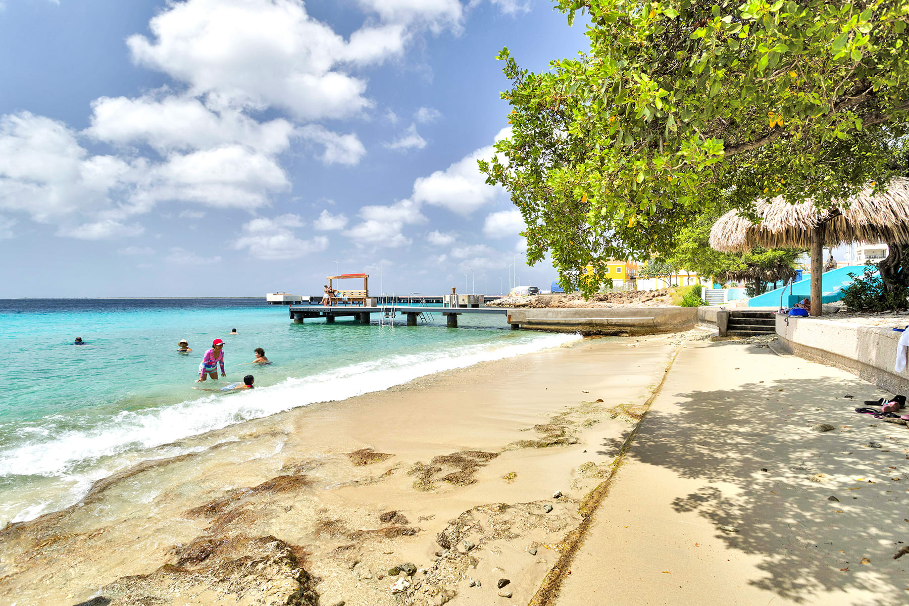 Chachacha Ocean View Apartment on the boulevard and the Caribbean Sea ...